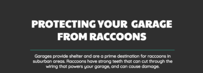 Protecting Your Garage from Raccoons [Infographic] - Precision Door of ...